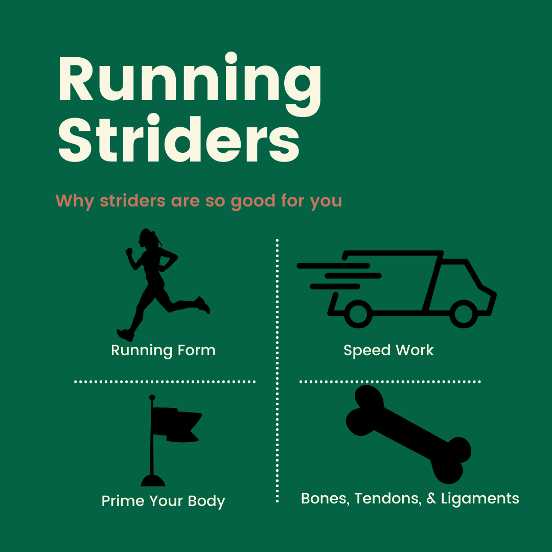 The Benefits of Adding Striders to Your Running Plan – TrainwithMarc